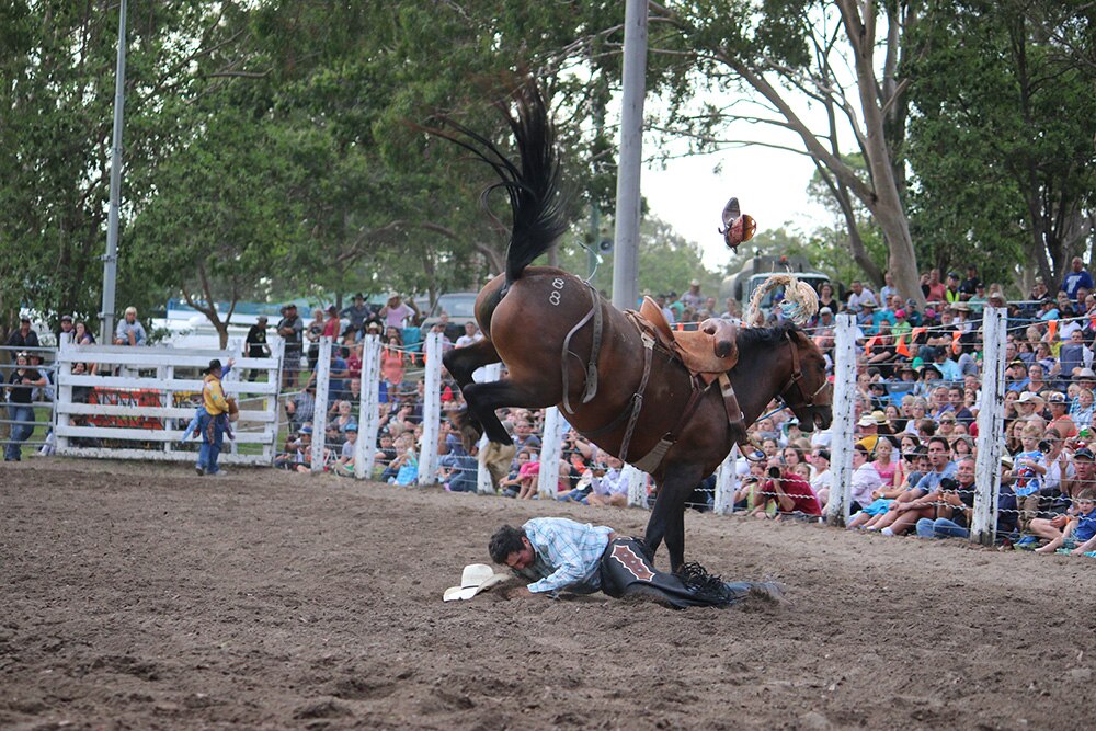 Record crowd at Wingham Summertime Rodeo in New South Wales - ABC News
