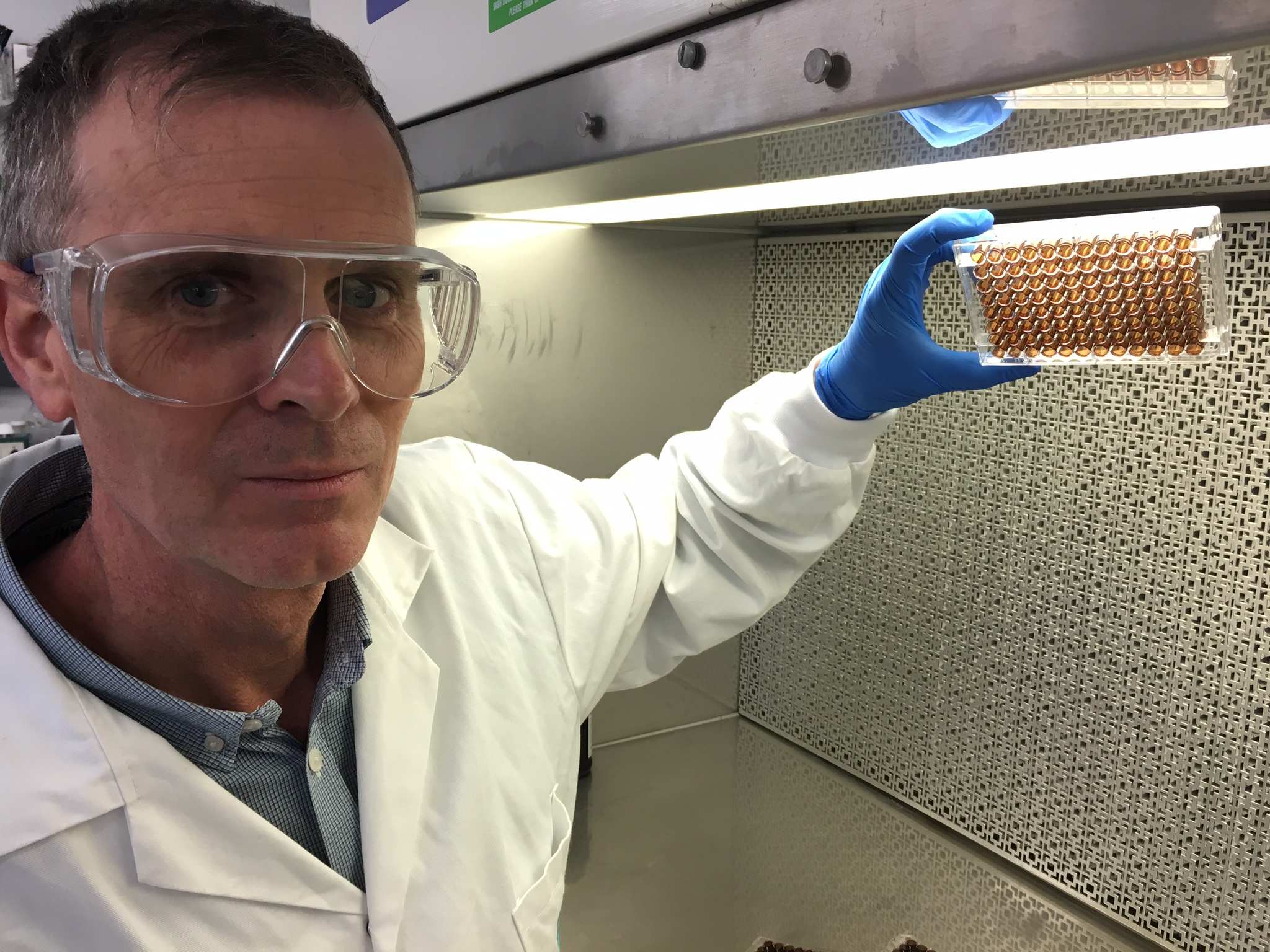 CSIRO scientists using primordial goo used to disguise medical implants ...