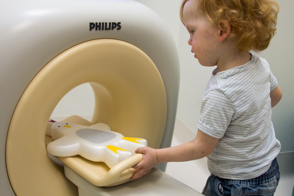 Kitten scanner: The fun-sized MRI machine changing lives at Monash ...