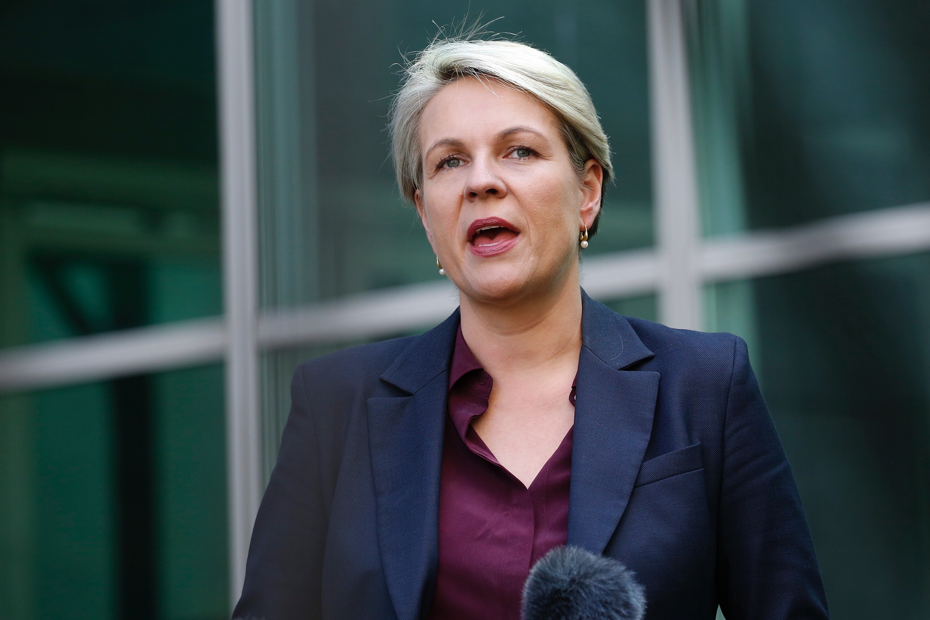 "We need to stop the cuts" Plibersek - ABC listen