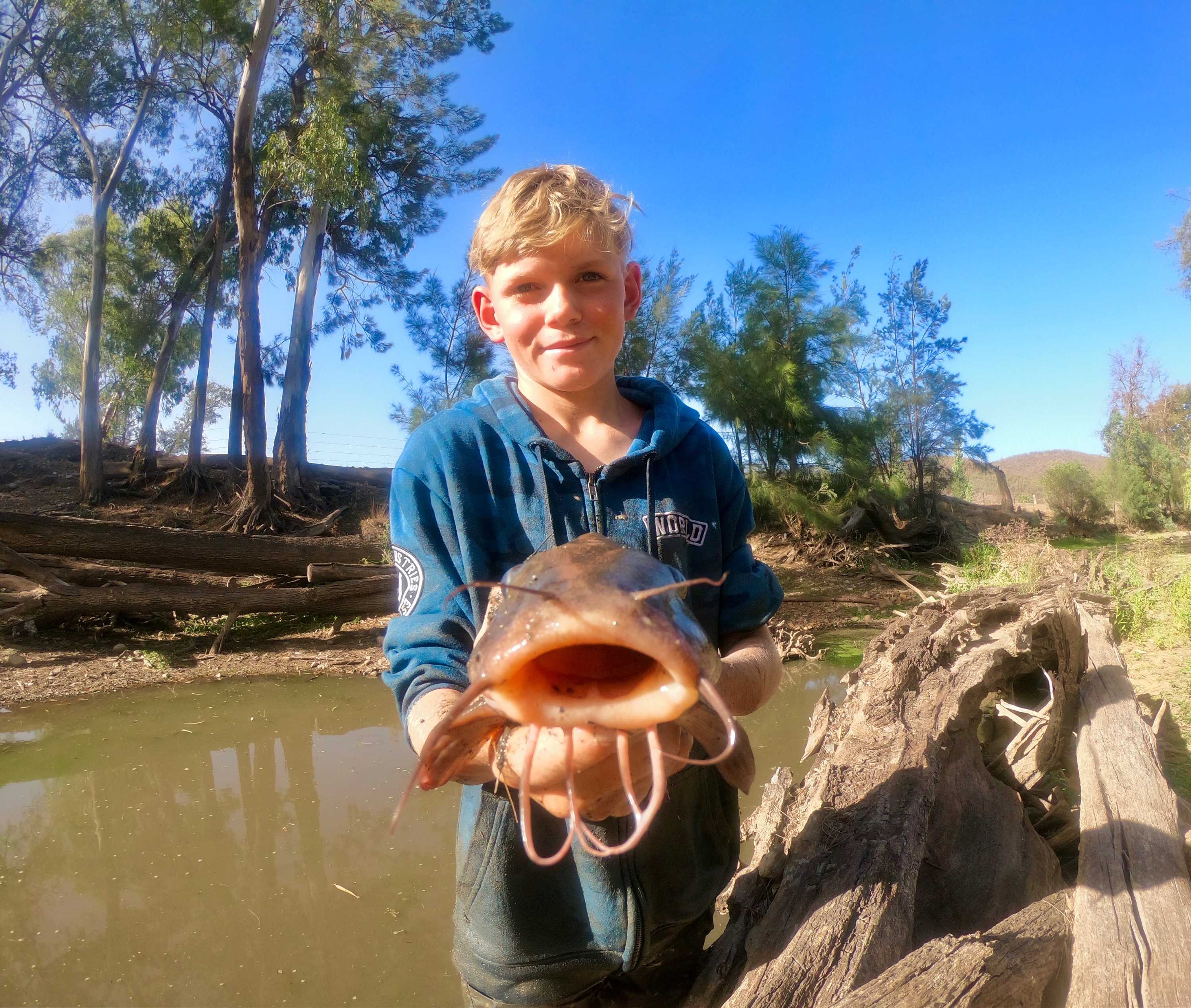 Stuart has rescued more than 100 fish by hand, moving them into larger ...