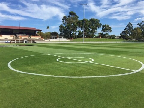 'Unique' Unley Oval closures explained - ABC listen