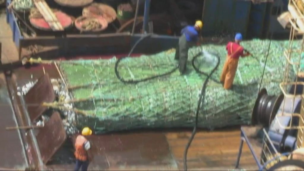 Super trawler: destructive or sustainable? - ABC News