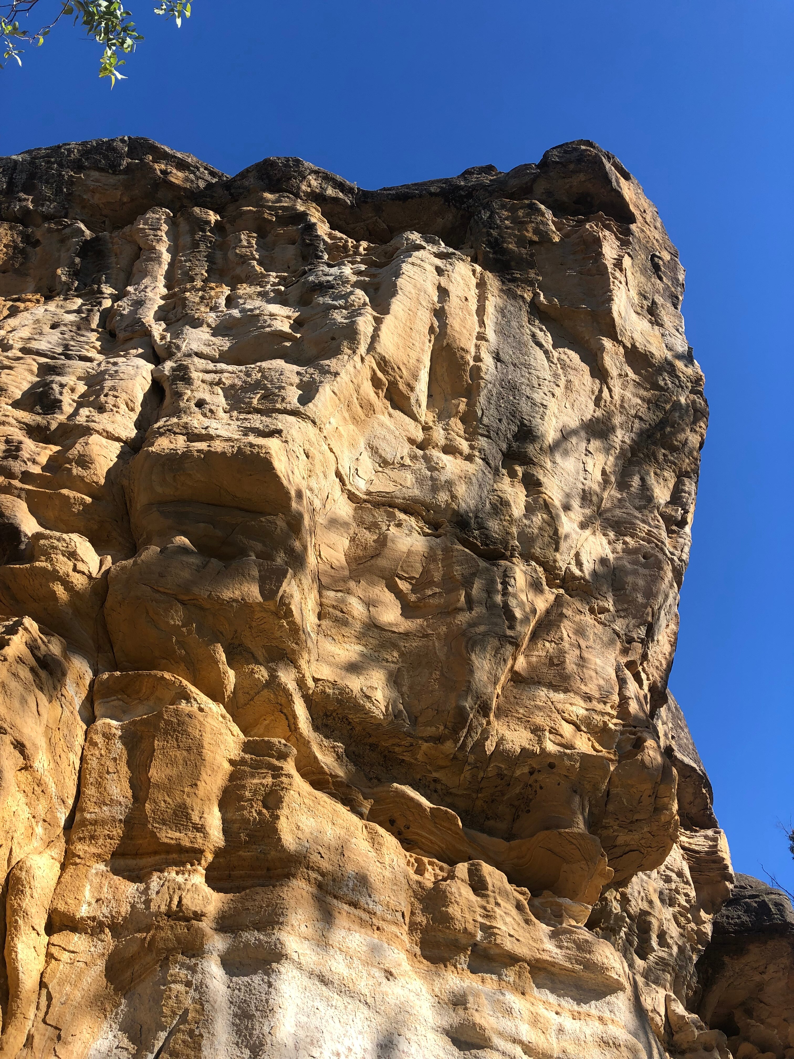 The best free nature walks to explore in and around Brisbane - ABC News