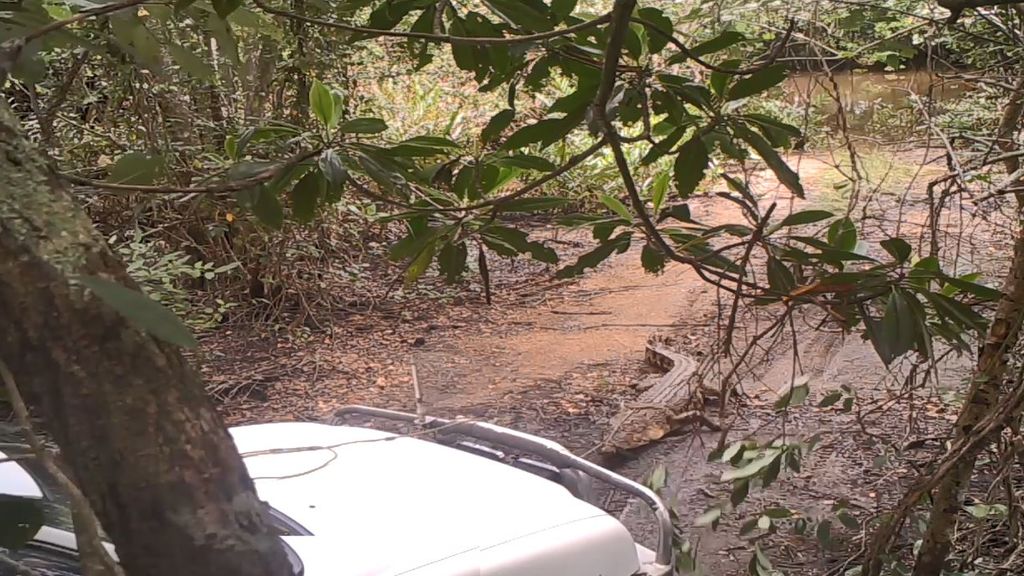 Deeral - 4871 - Location - ABC News