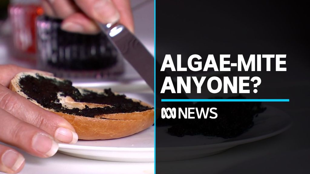Marine algae could be the food of the future - ABC News