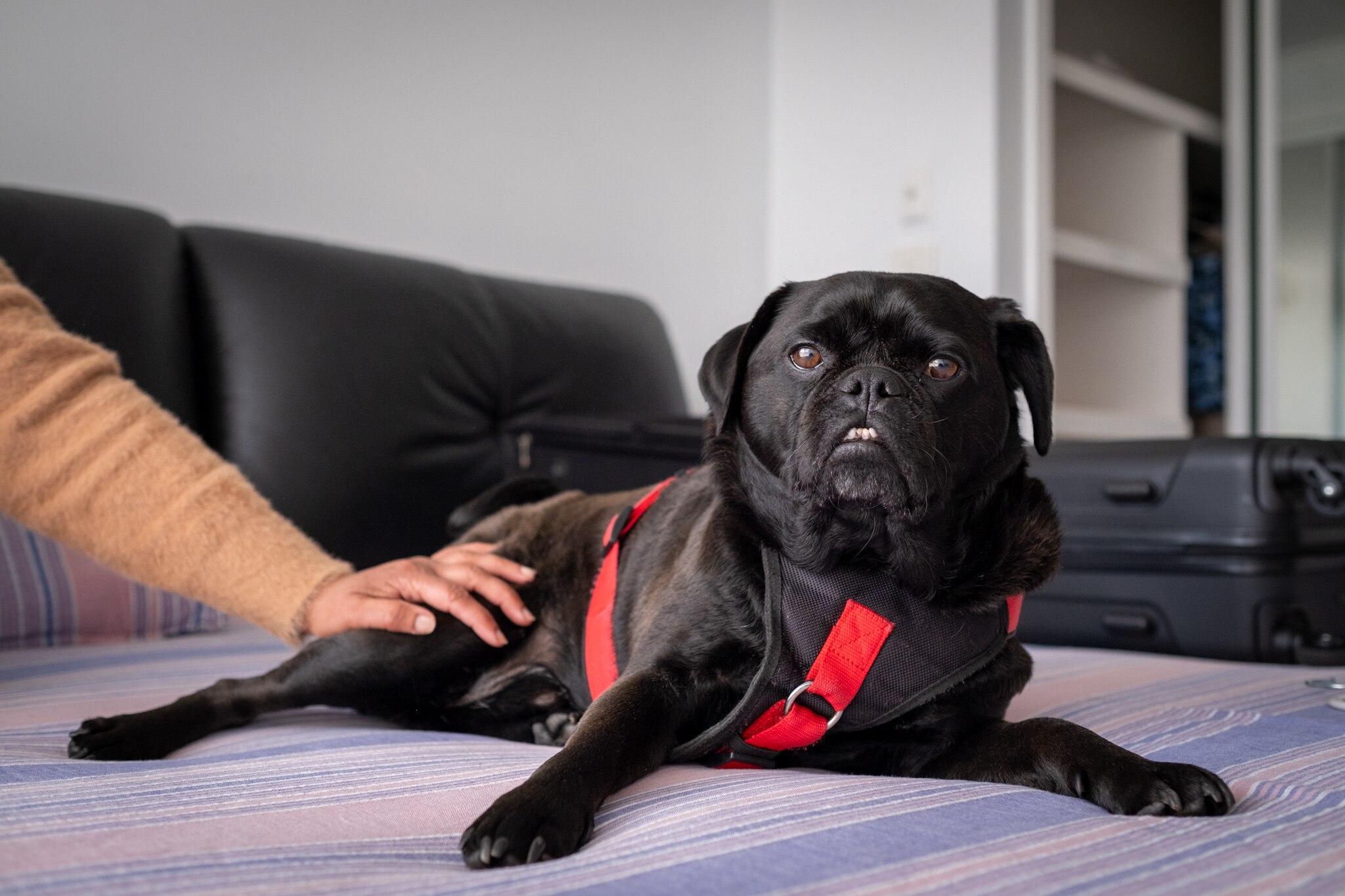 Migrant faces deportation after employer breached sponsorship ...