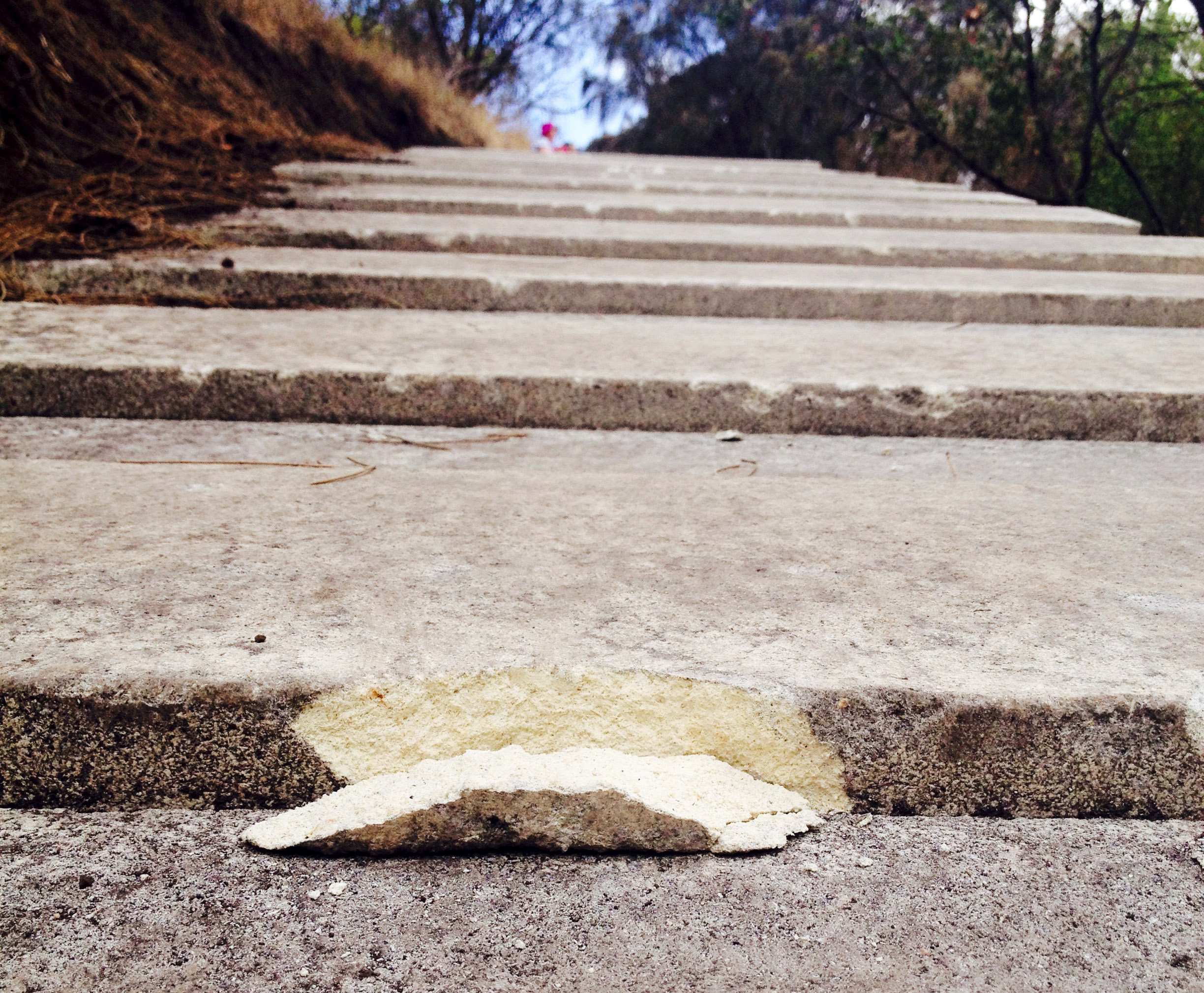 Mystery horse rider damages Mt Schank walking track over weekend - ABC News