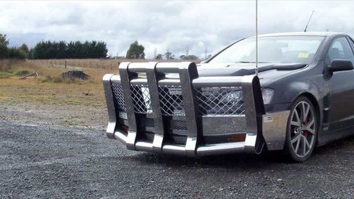 Bull bar ban: MP calls for permanent exemption for country drivers ...