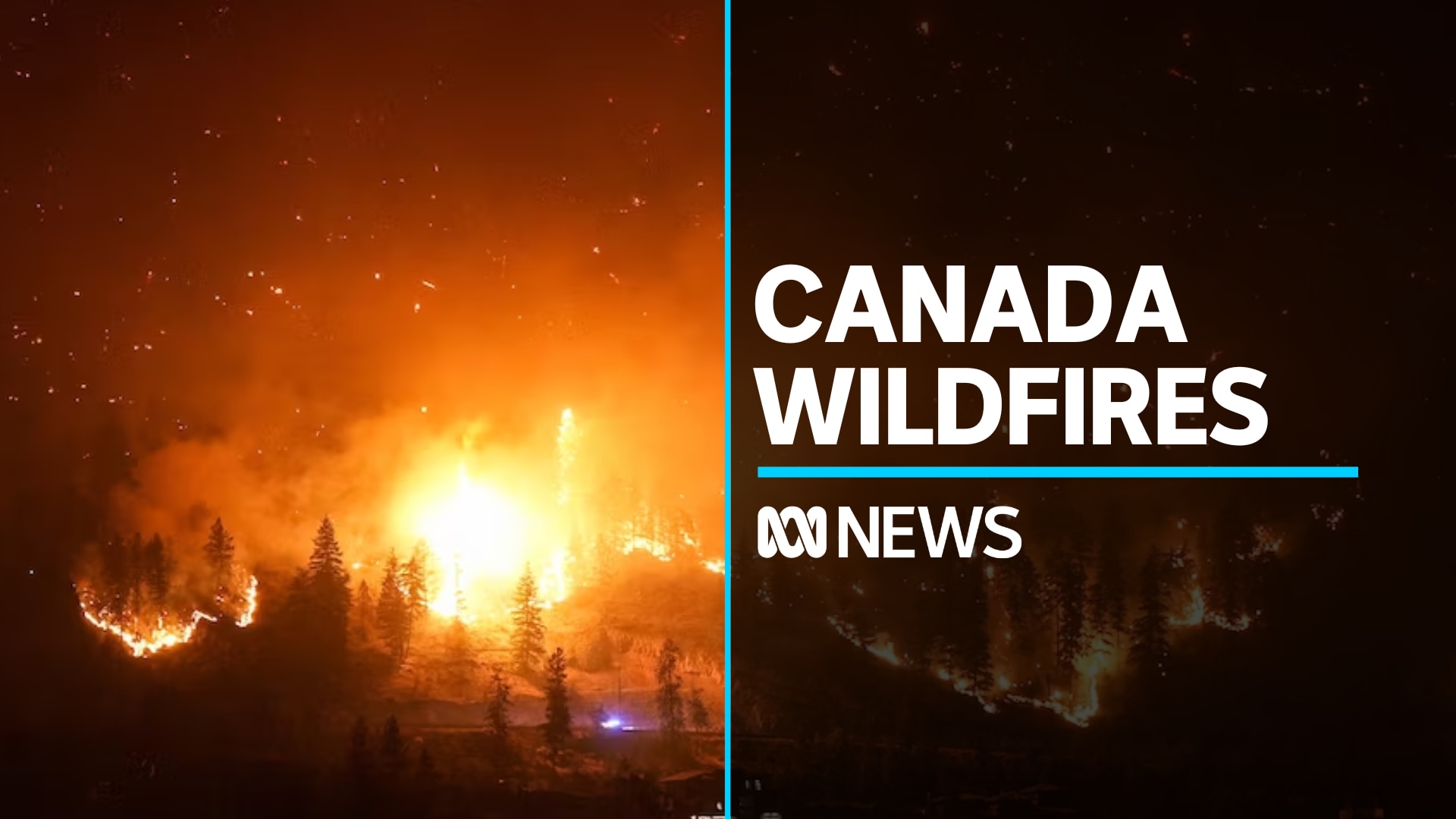 Denmark locals demonstrate how easy it is to catch a fish using a ...