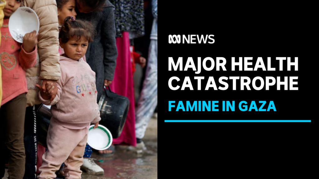 UN warns of imminent health catastrophe in Gaza - ABC News