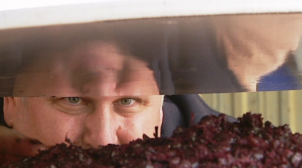 New Yorker 'Brash Higgins' makes a sea change to Australian wine ...