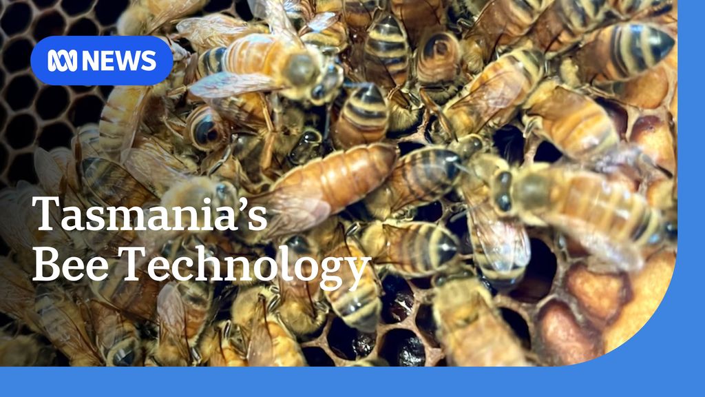 Tasmania's biggest pollinator fast tracks new technology to disease ...