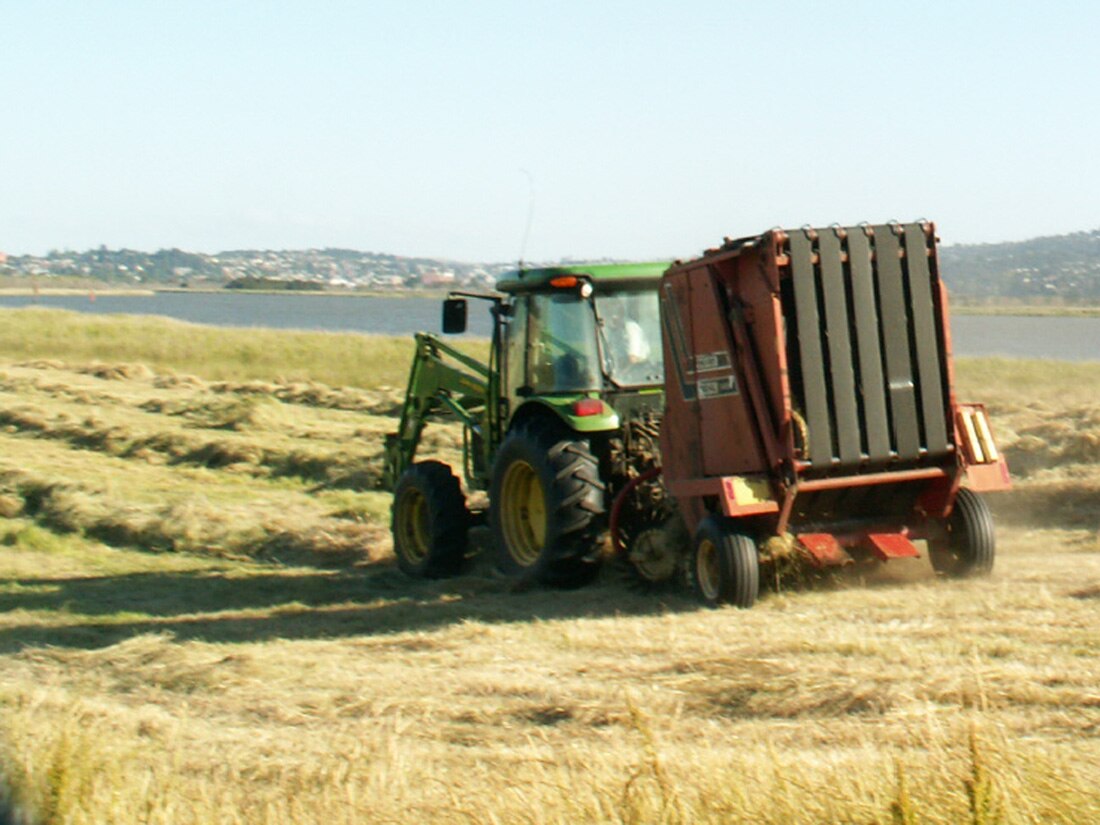 Pilfering from farms on the rise - ABC News