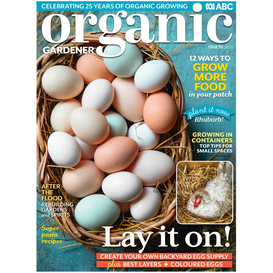 Magazines - ABC Shop