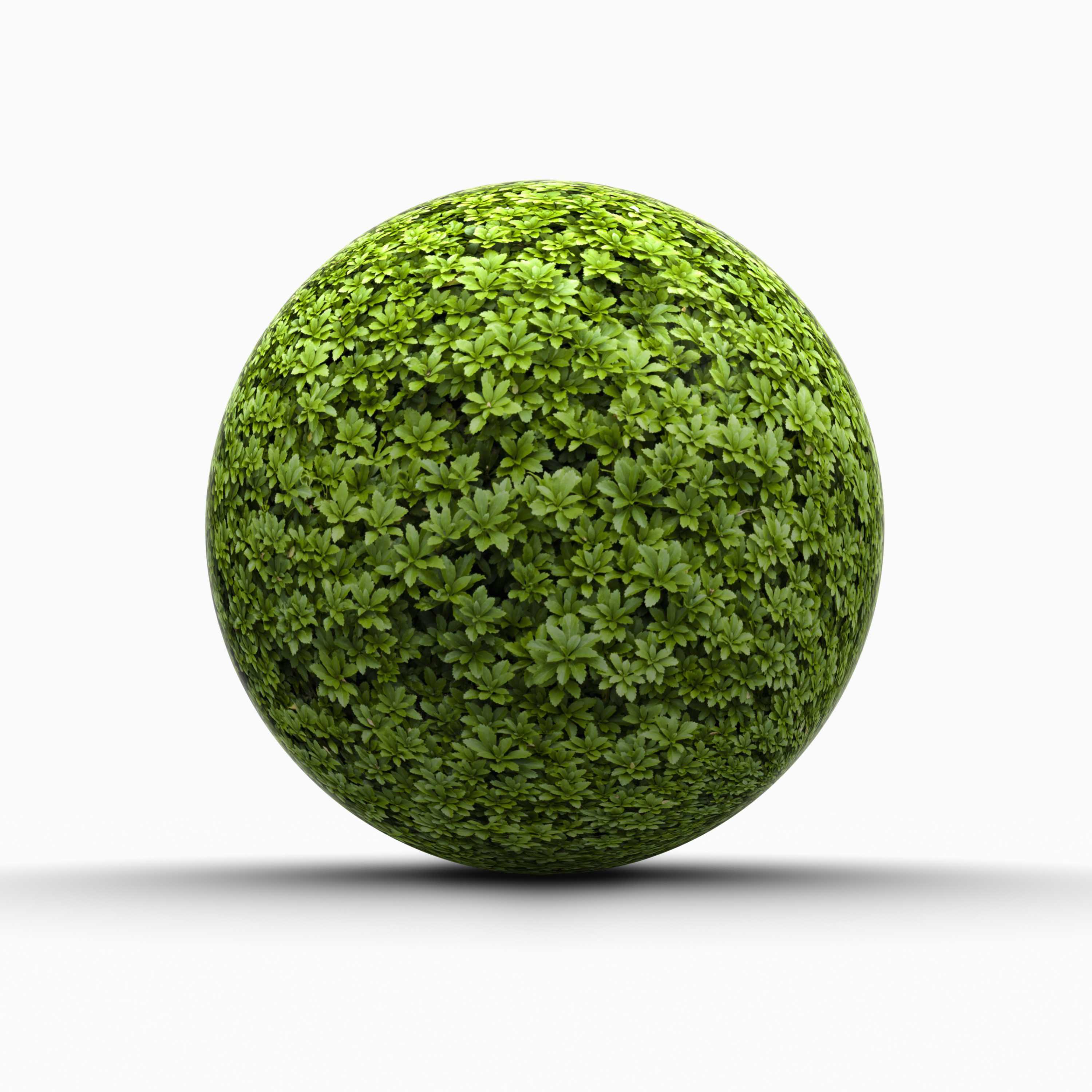 The legacy of Australian philosophers Richard Sylvan and Val Plumwood ...