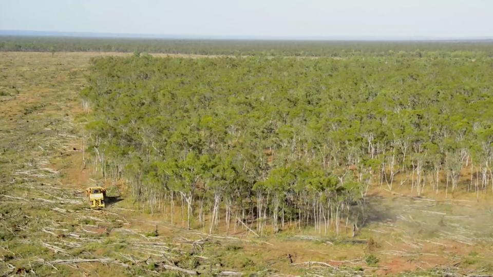 Fight for Planet A, Ch 8: The problem with land clearing - ABC Education