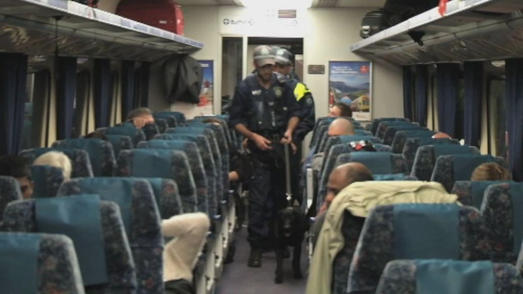 NSW police manage to fill the ranks of the police transport command ...