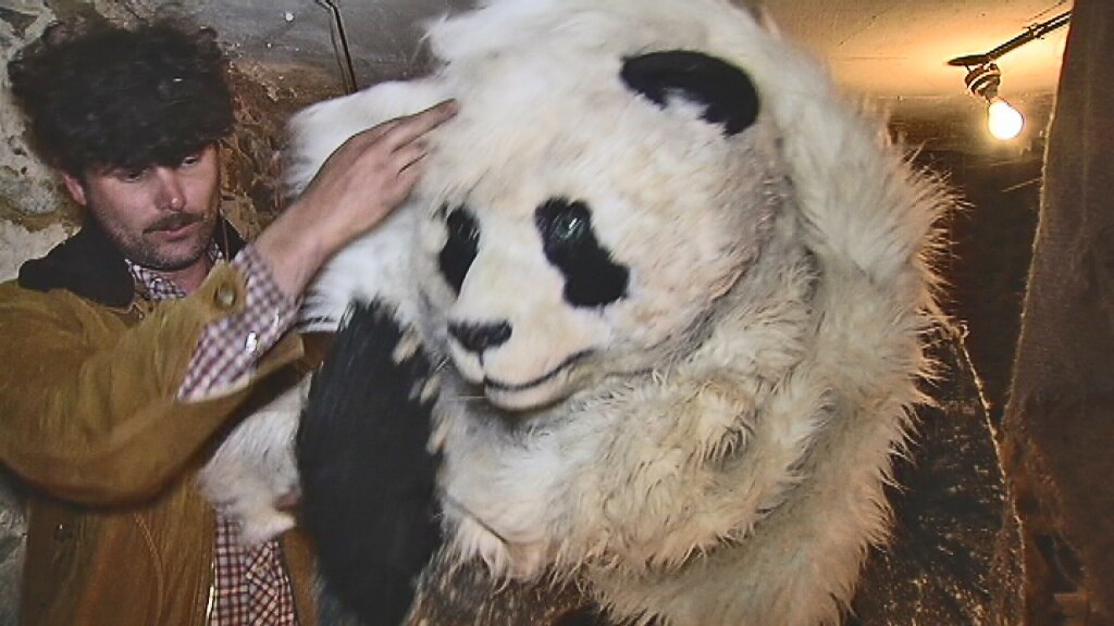 Panda series joins internet film explosion - ABC News