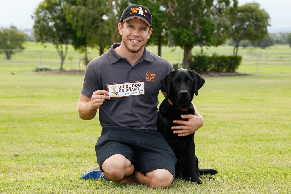 Guide Dog on board: Bumper stickers help dogs stay safe after car ...