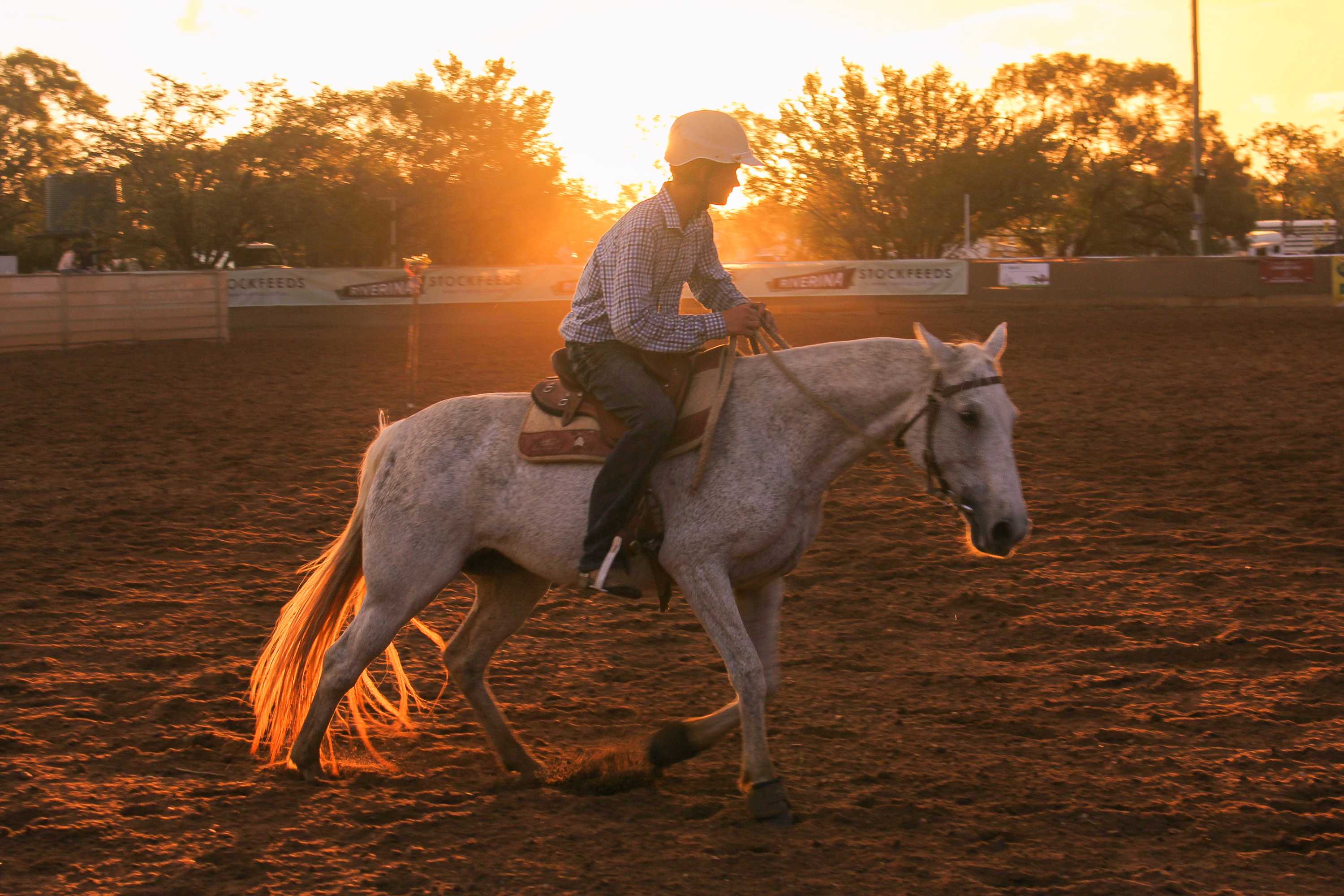 Most remote campdraft titles held 200km from nearest town in outback ...