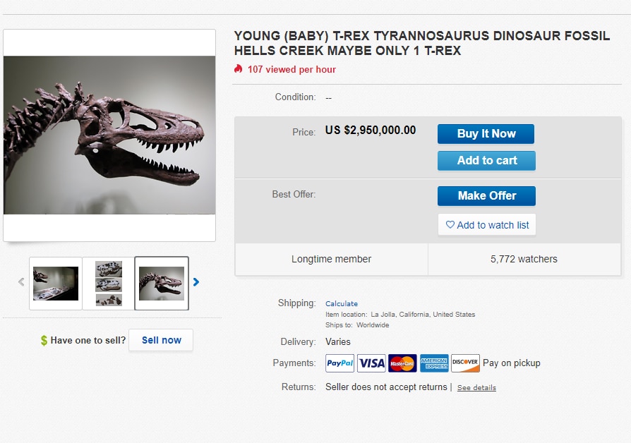 Dinosaur fossils are available for sale on eBay. so why did it take ...