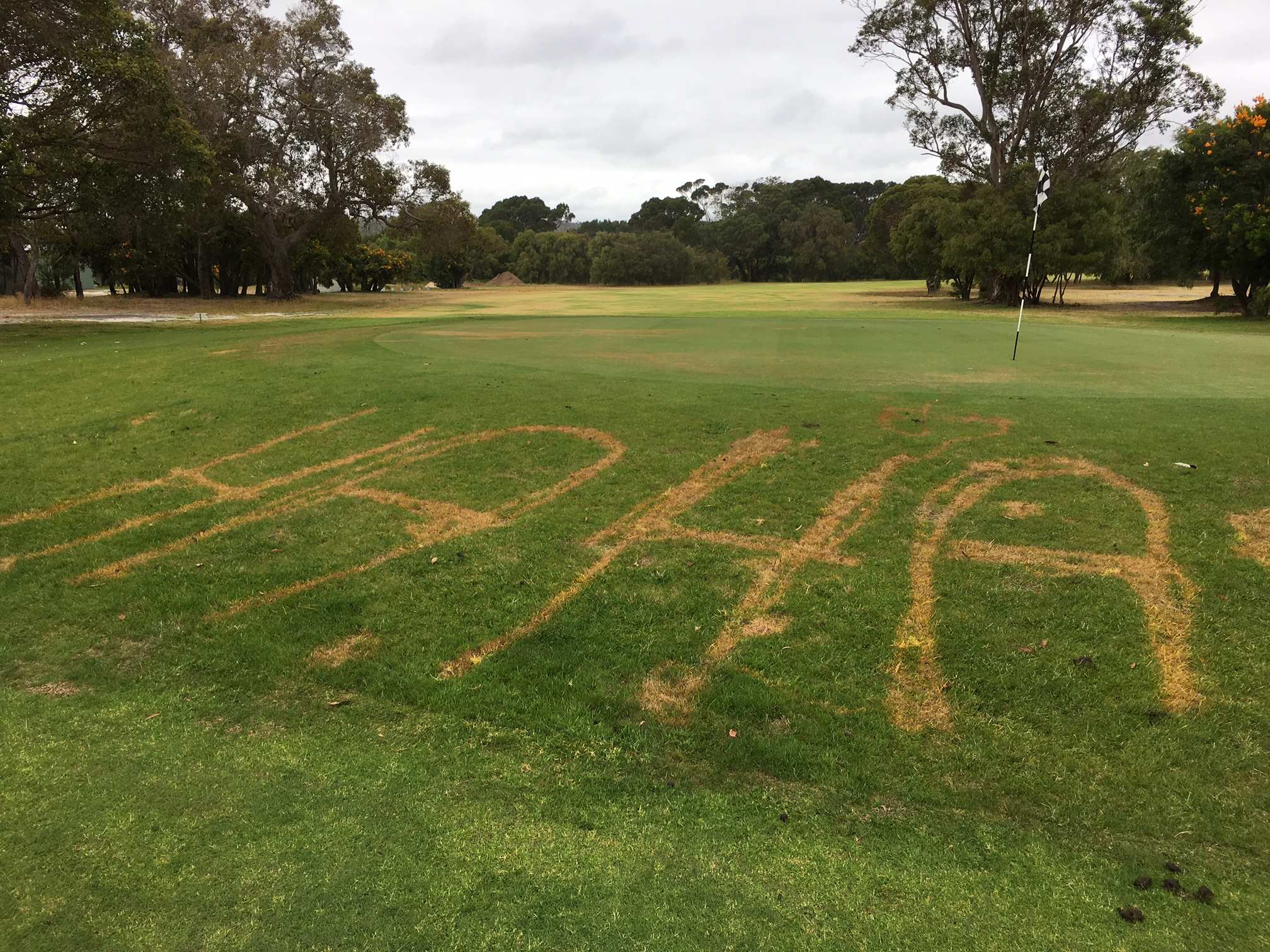 Vandals' 'ha ha' message to Denmark Country Club after golf course ...