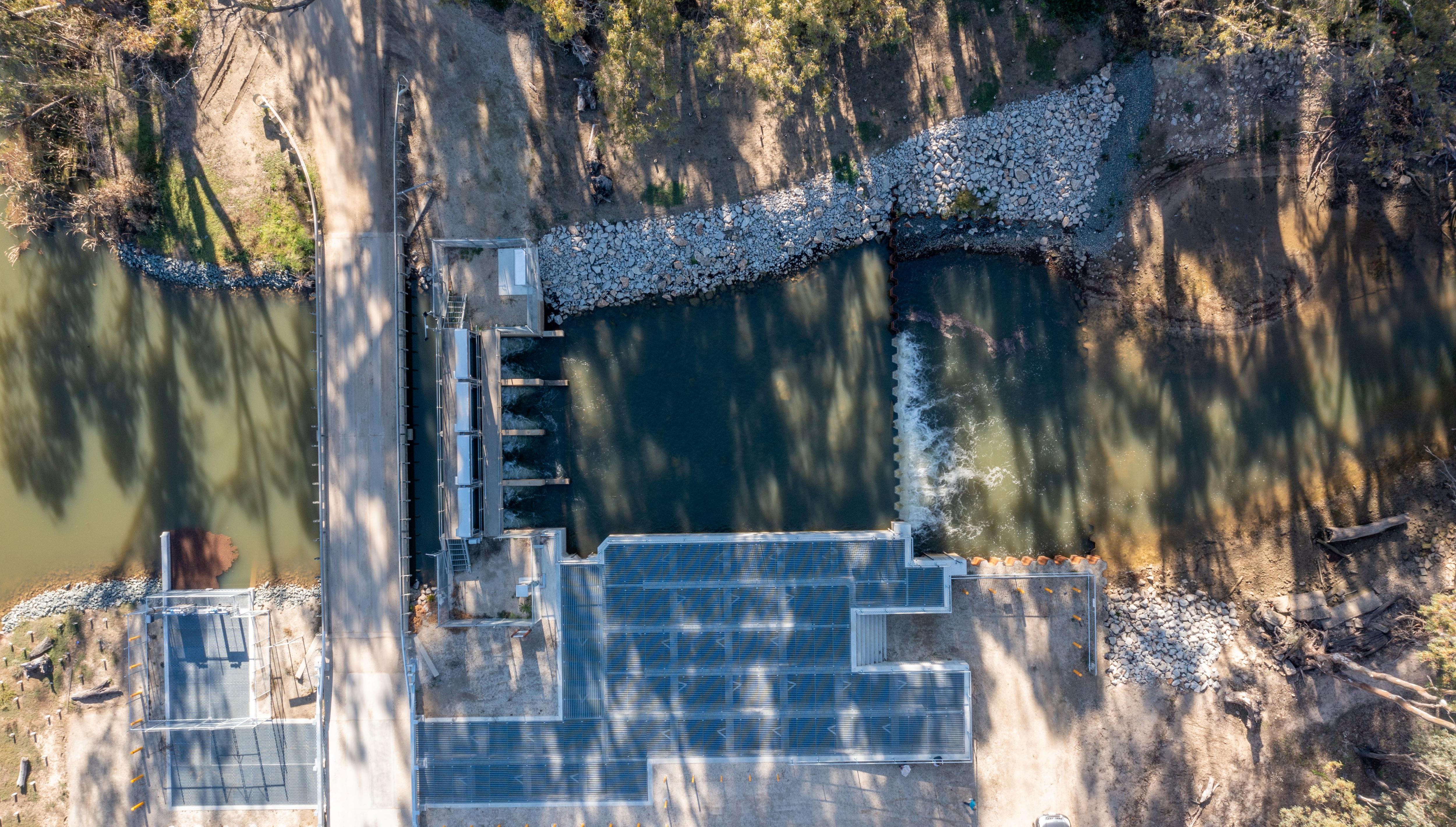 Native fish swimming strong thanks to fast work - ABC listen