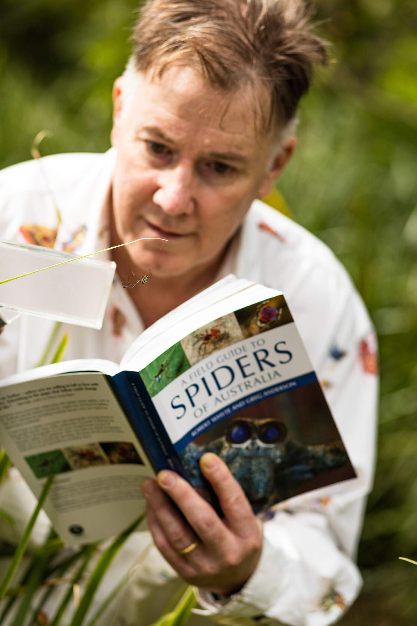 Knowledge the key to curing arachnophobia says spider researcher - ABC News