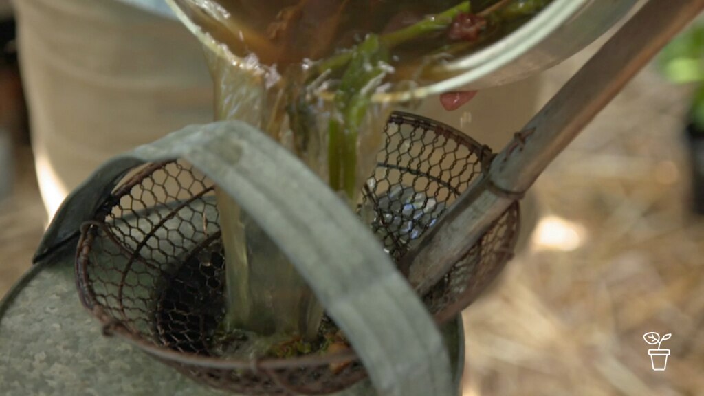 Ripper Idea...Compost Tea - Gardening Australia