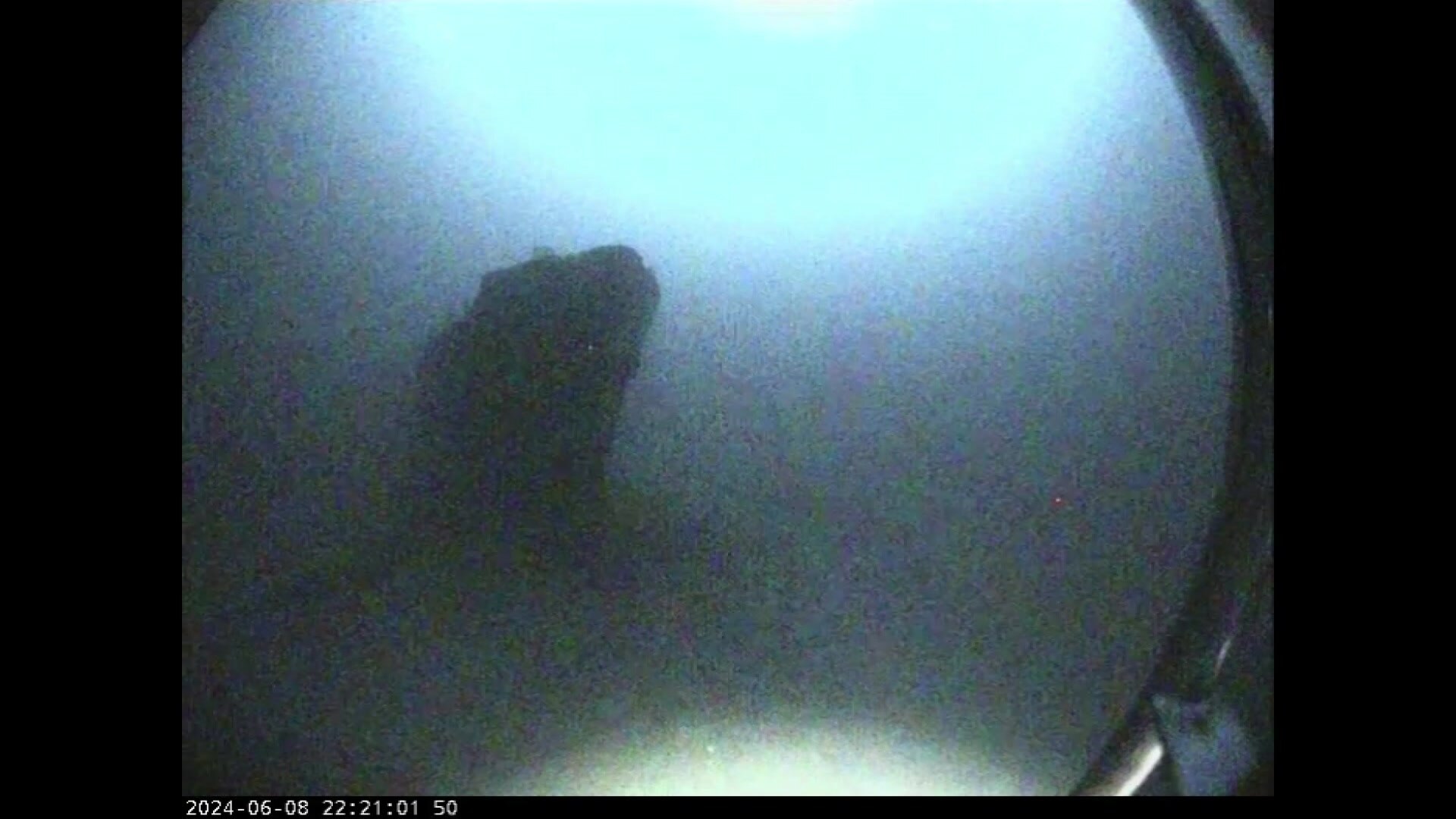 MV Noongah - ABC News