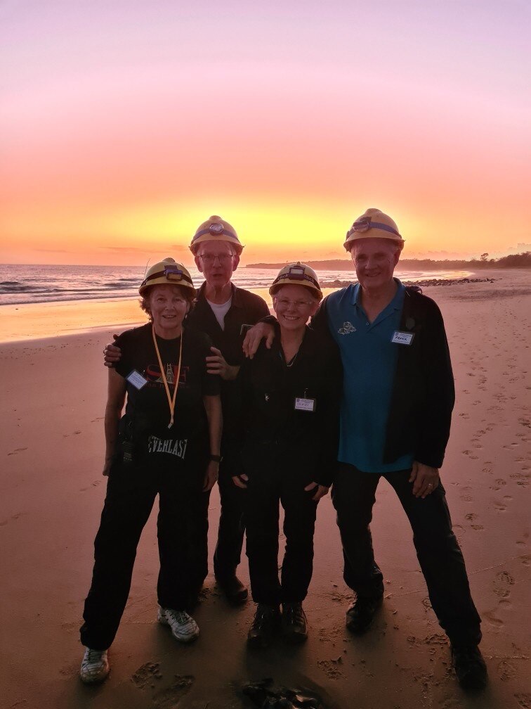 Olive ridley turtle nest found on Australia's east coast for first time ...