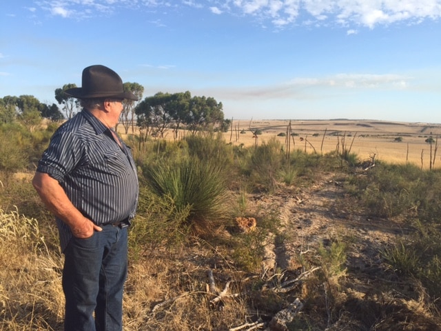 Kimberley pastoralist Jim Motter reflects on former life at Bulka ...