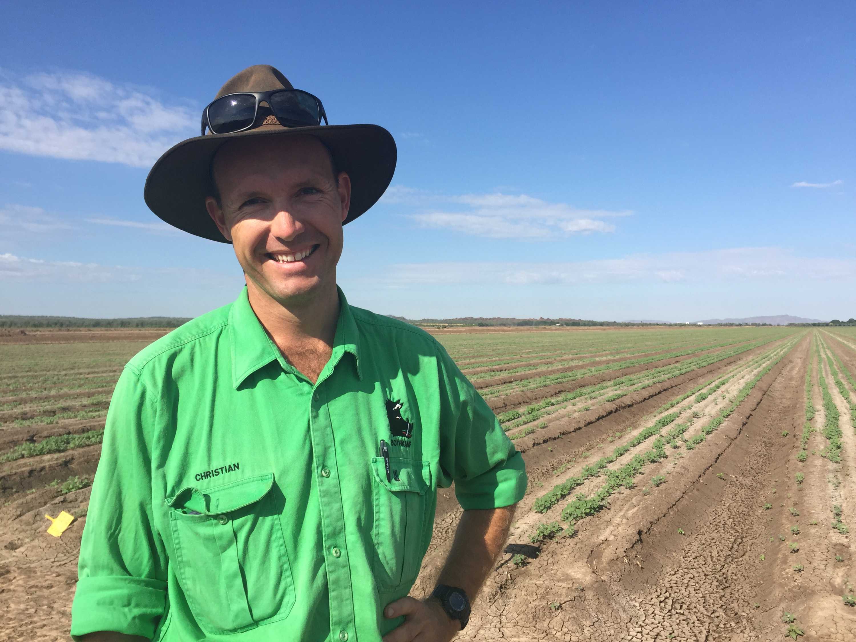 What is the future for Australian chia, quinoa farmers in the multi ...