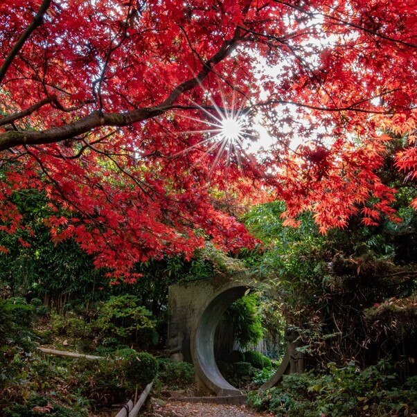 Victoria's autumn was warmer and drier than usual. Will it continue ...