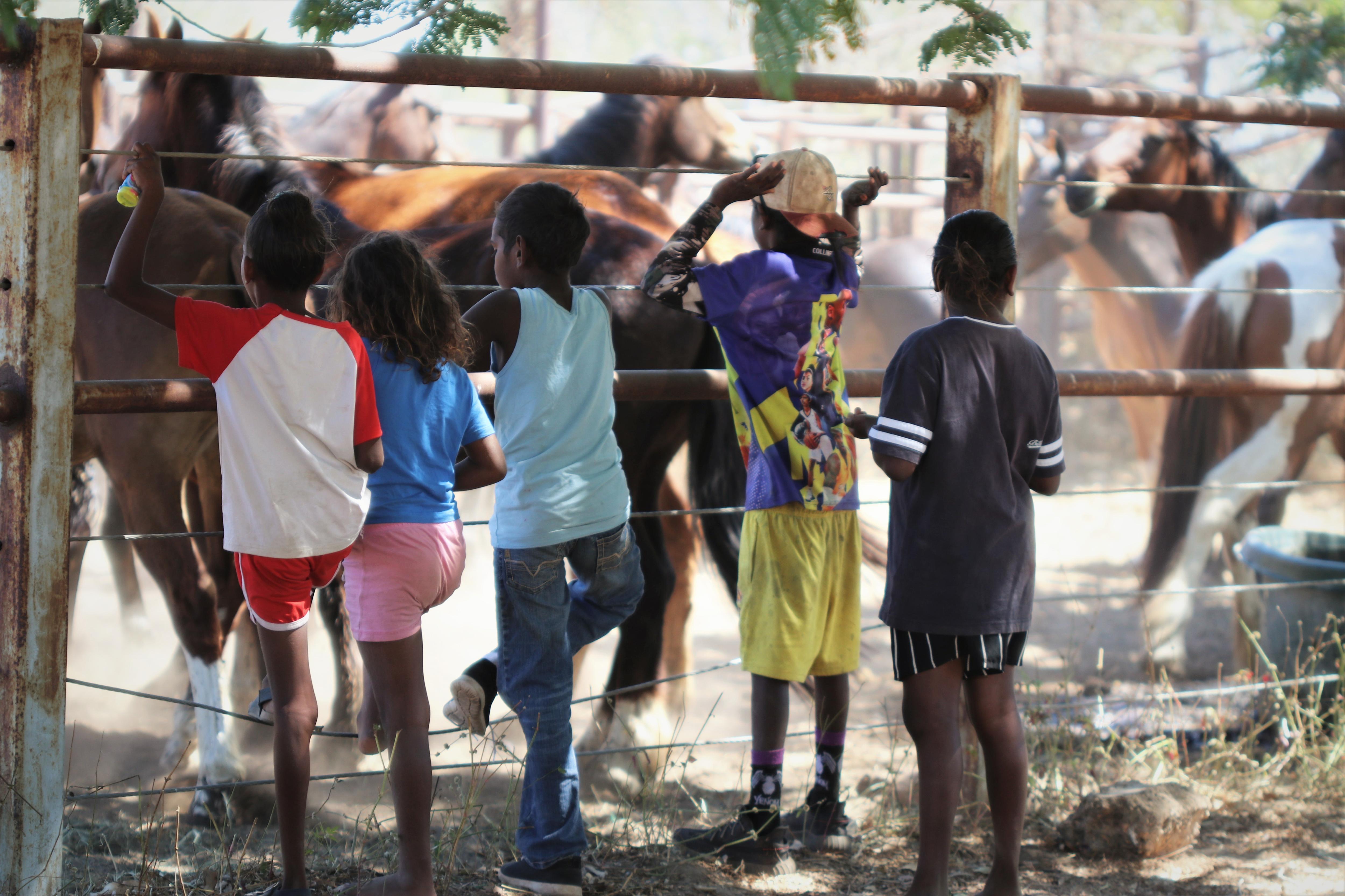 Borroloola Bushman's Carnival celebrates budding campdraft and rodeo ...