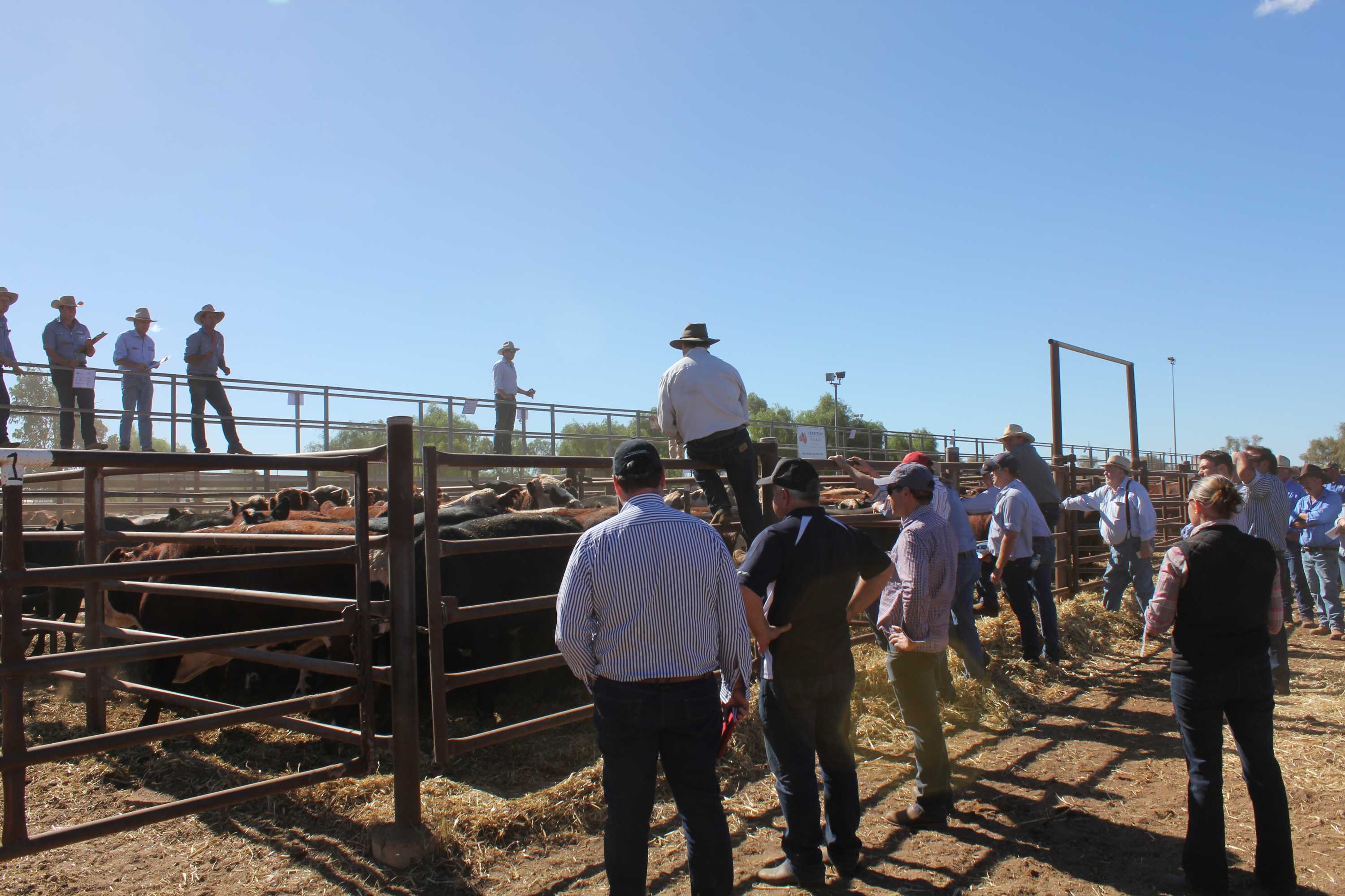 Northern Territory Country Hour - ABC listen