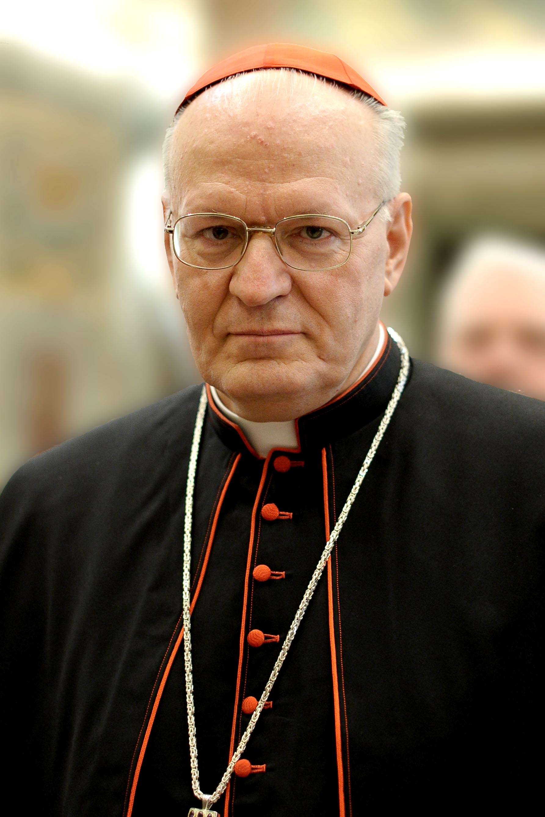 The next pope: 13 top contenders - ABC News