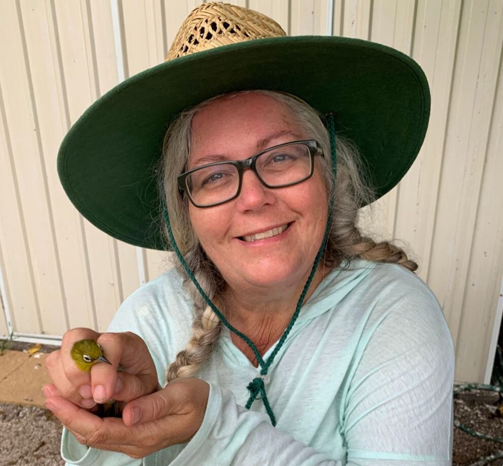 One in three bird nests include manmade debris, ecology study reveals ...