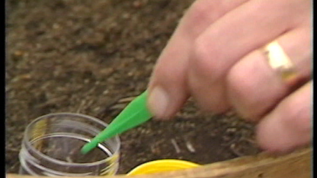 The Claremont serial killings case hinges on DNA evidence — so here's ...