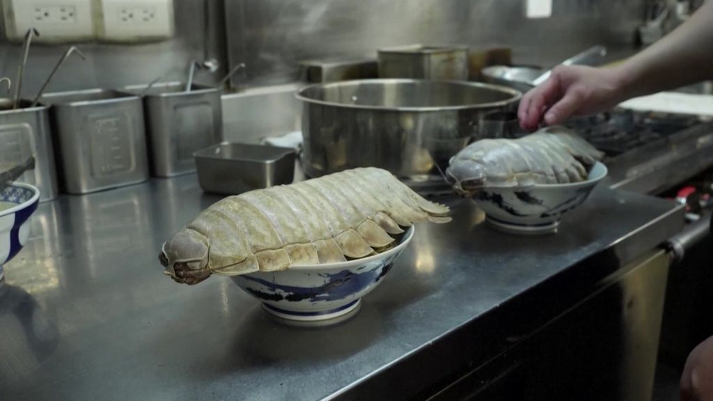 Giant Isopod Cooked