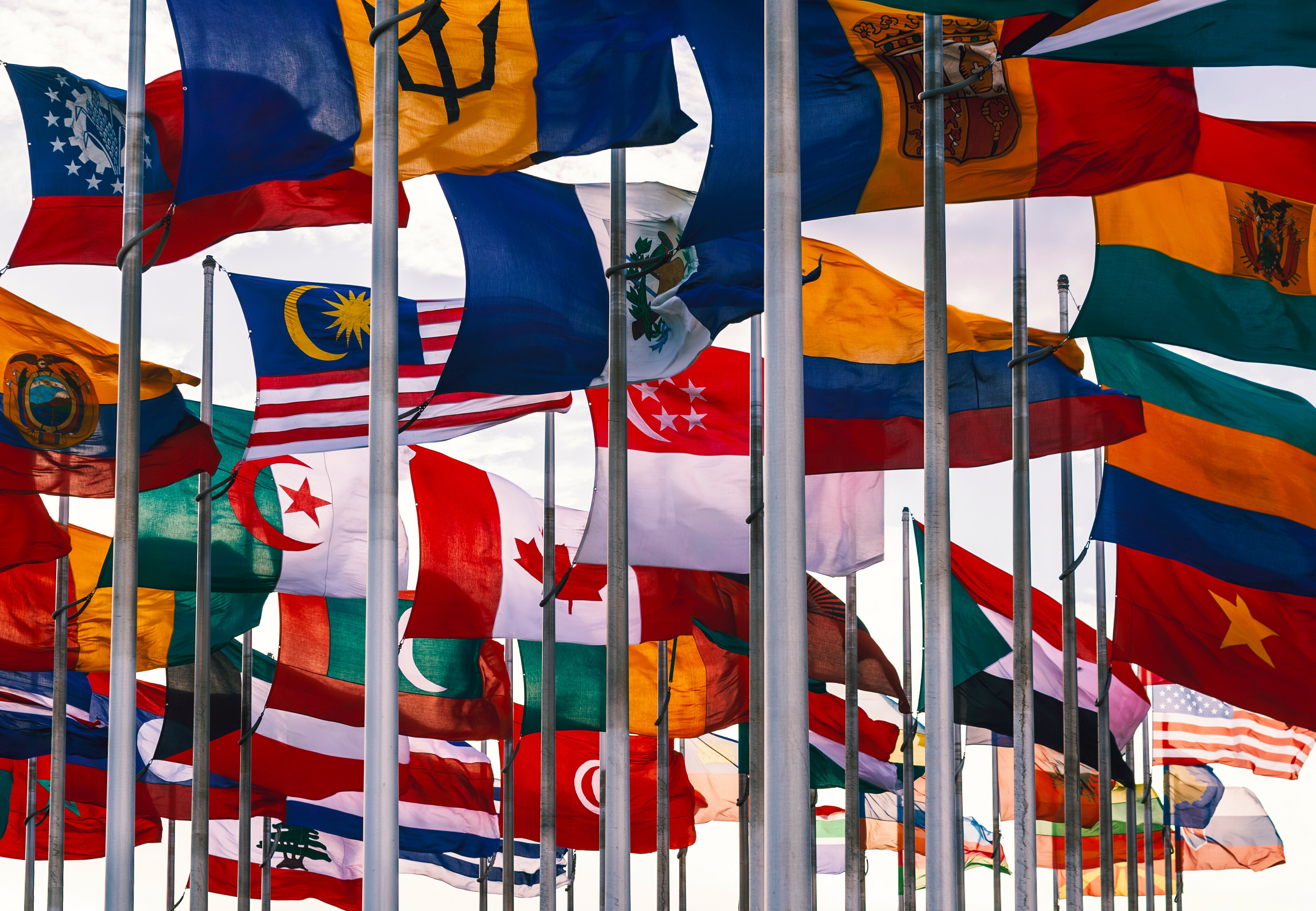 Which country has the most educated politicians? - ABC listen