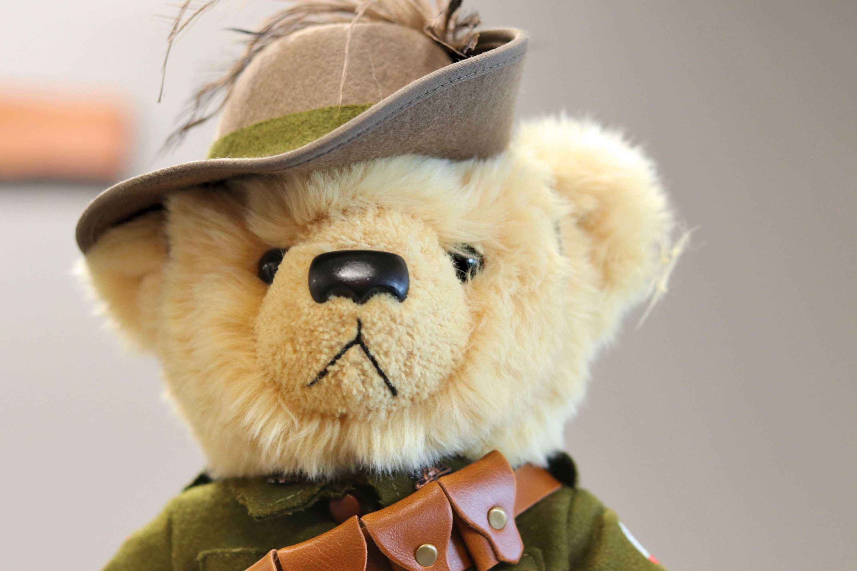 Teddy bears and books inspire schoolchildren to learn Anzac history ...