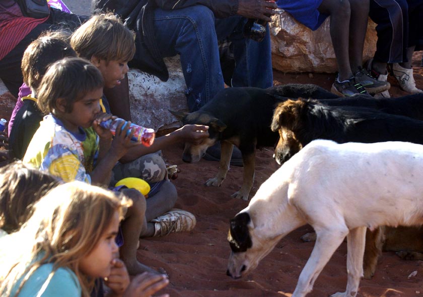 Education failures creating a lost generation - ABC News