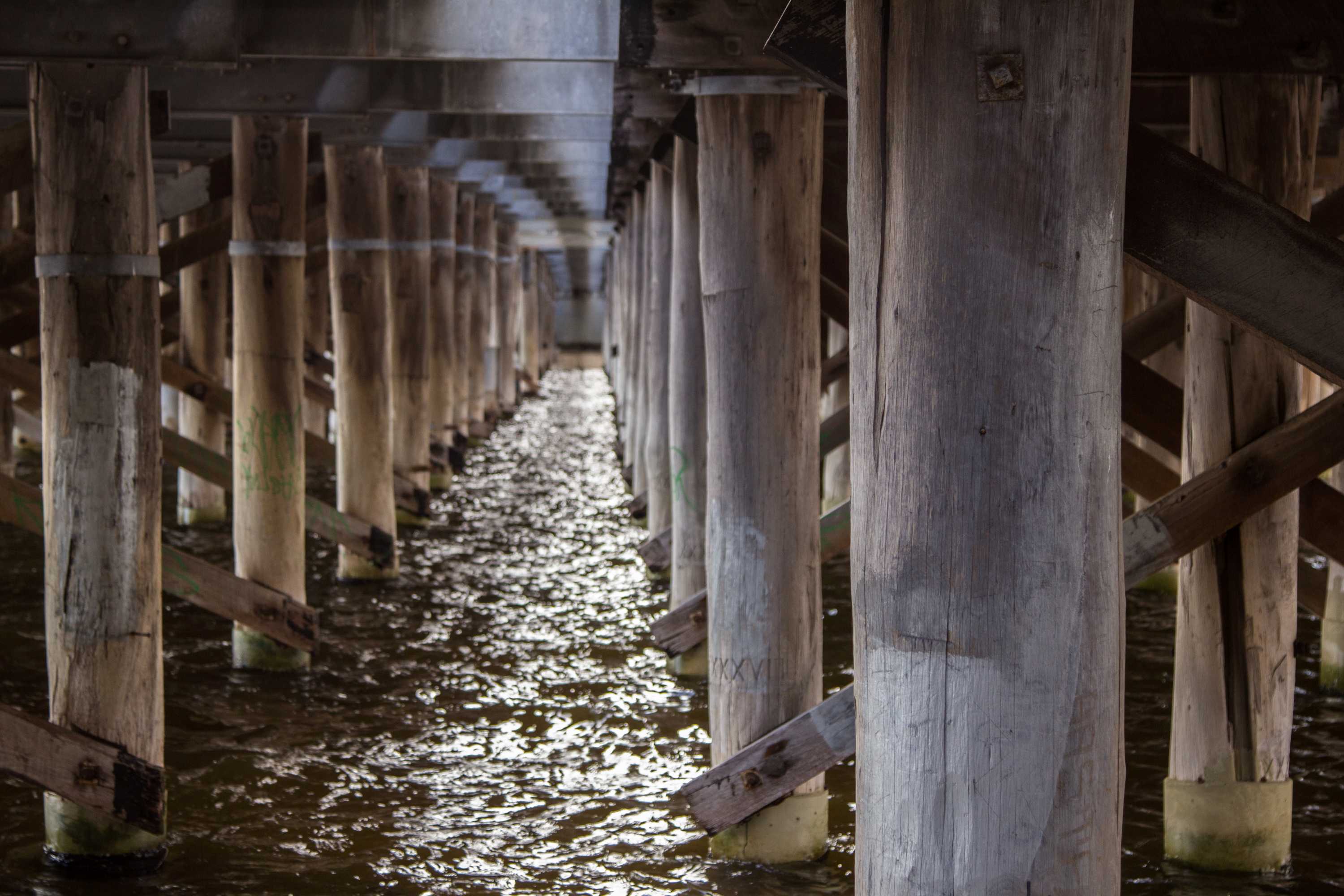 Canning Bridge: One of Perth's original timber crossings still strong ...