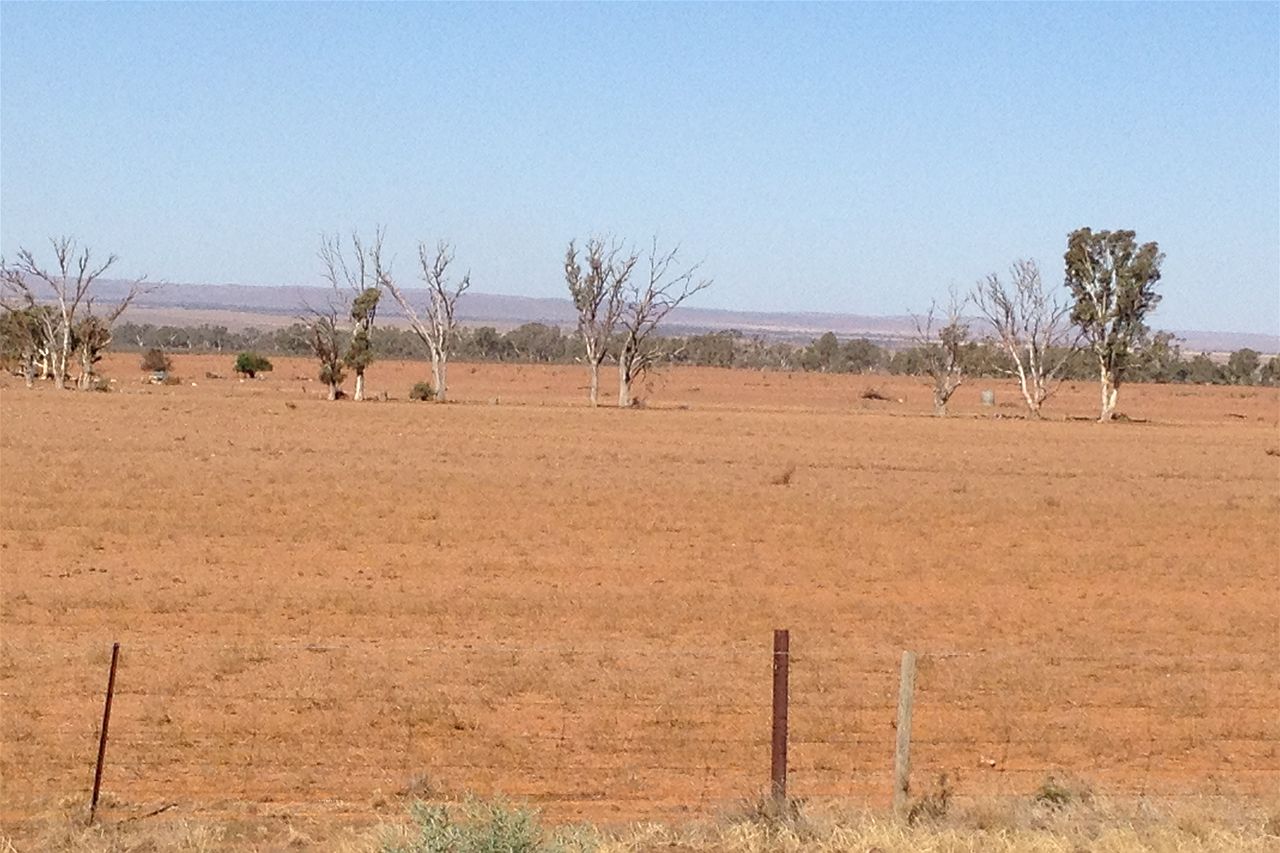 Worsening dry hitting farmers and company profits - ABC News