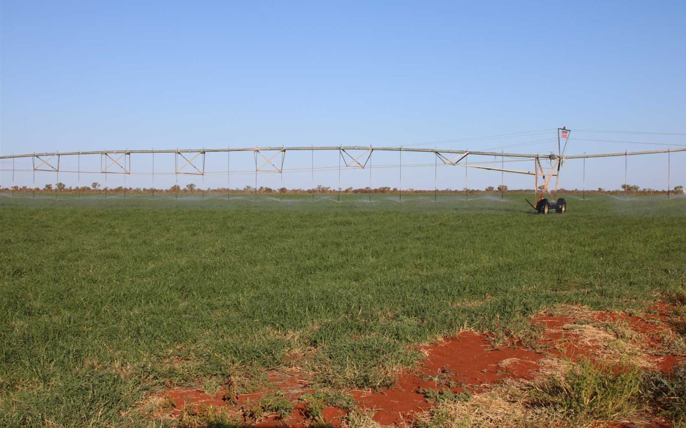 Central Australian fodder farm with 2,000-megalitre water licence to ...