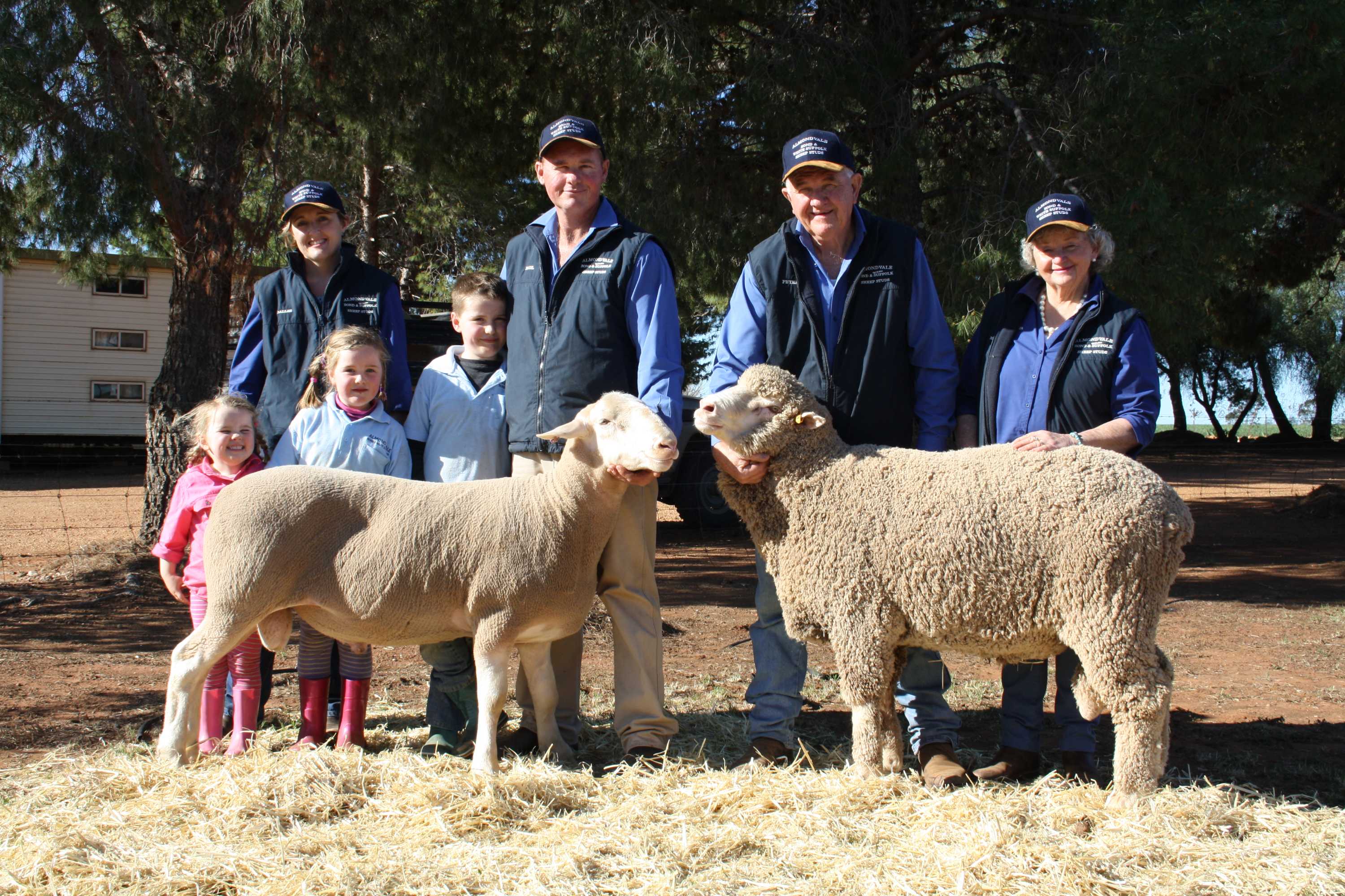 Sheep passion pays off for Riverina Farmer of the Year finalist - ABC News