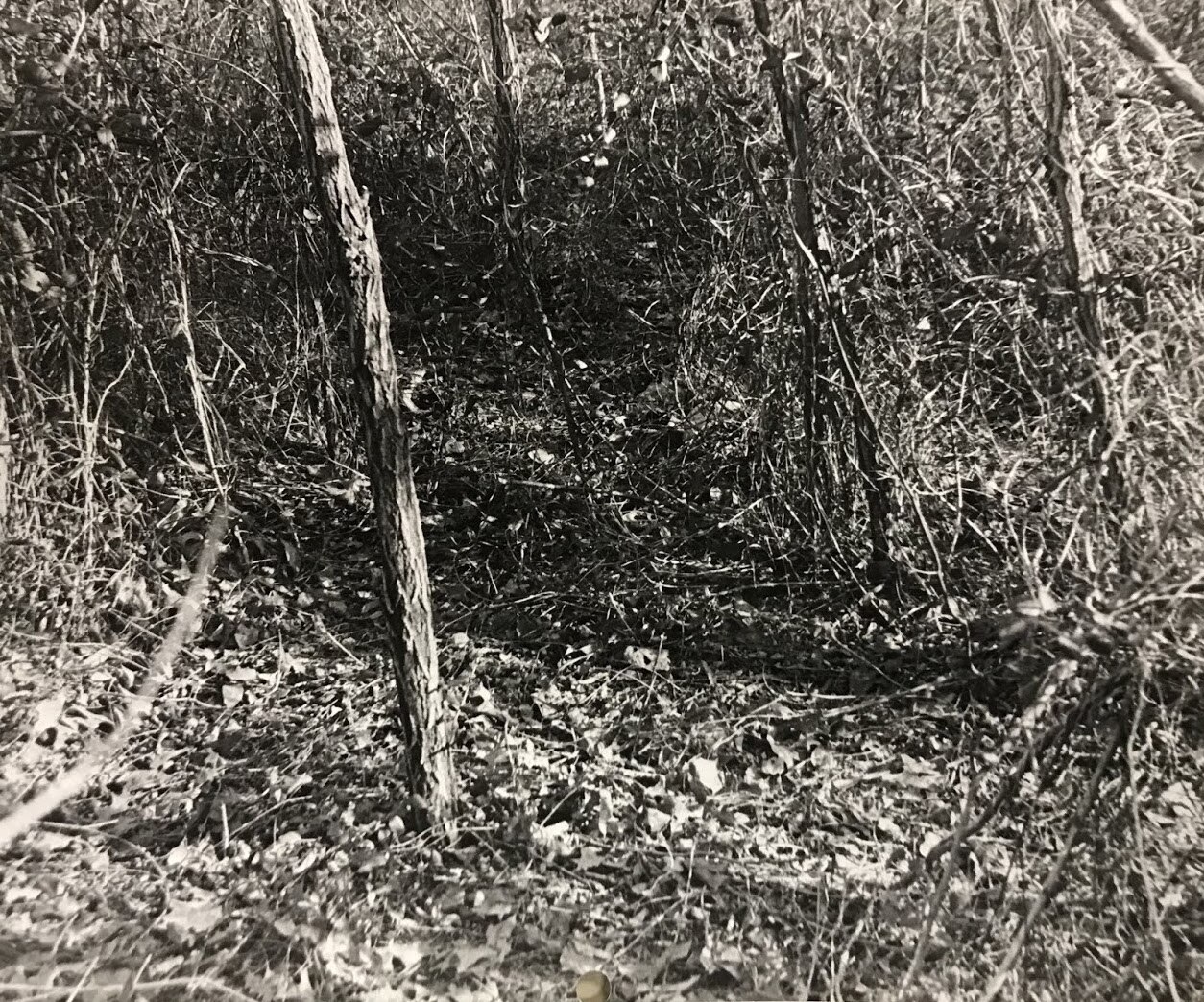 How an Australian helped identify America's 'worst serial killer ...