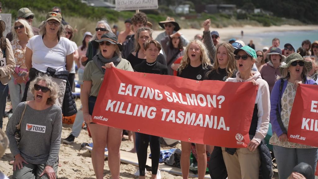 Protest against salmon farming in Tasmania - ABC News